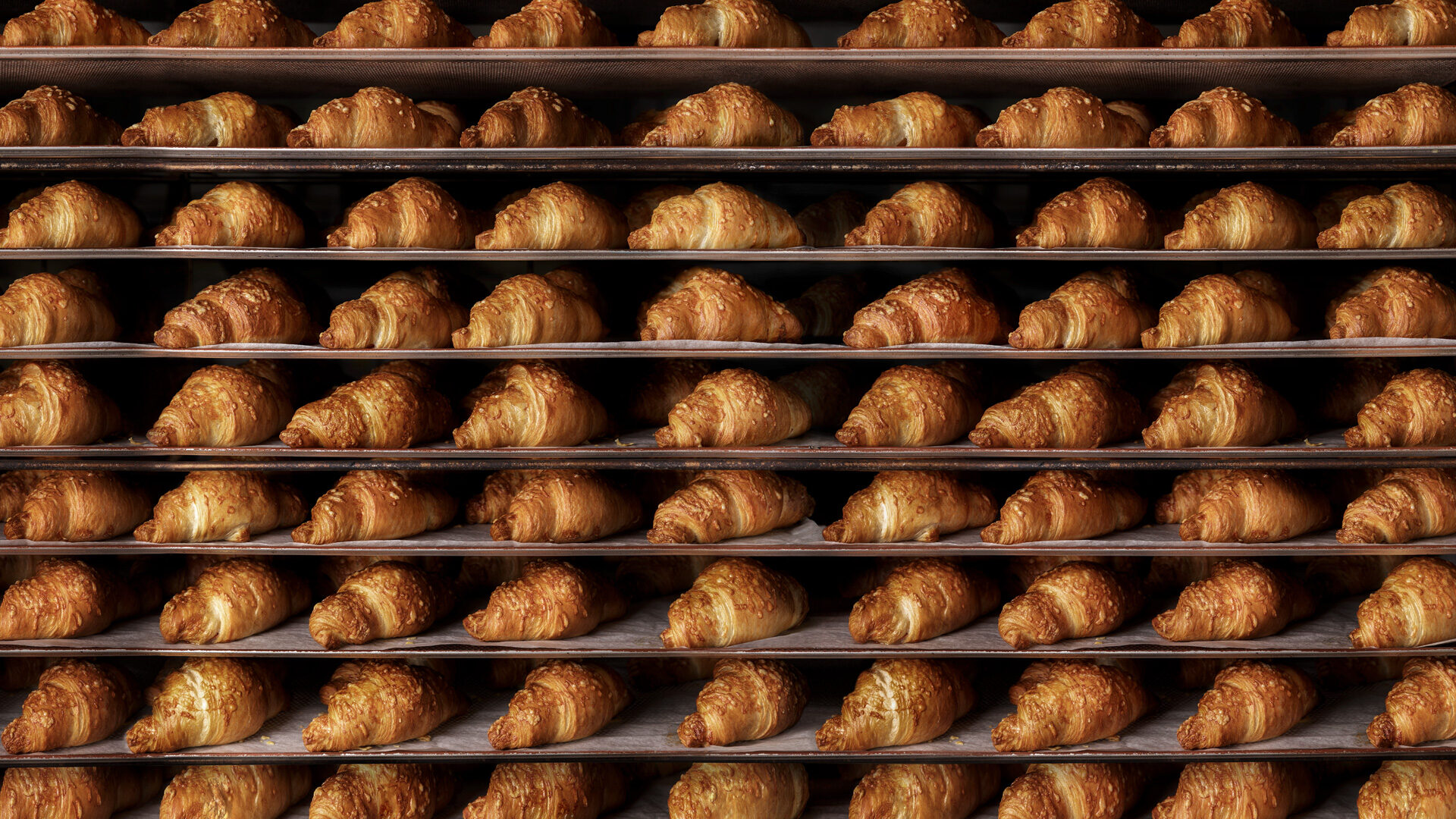 Bonback - Schwarz Produktion