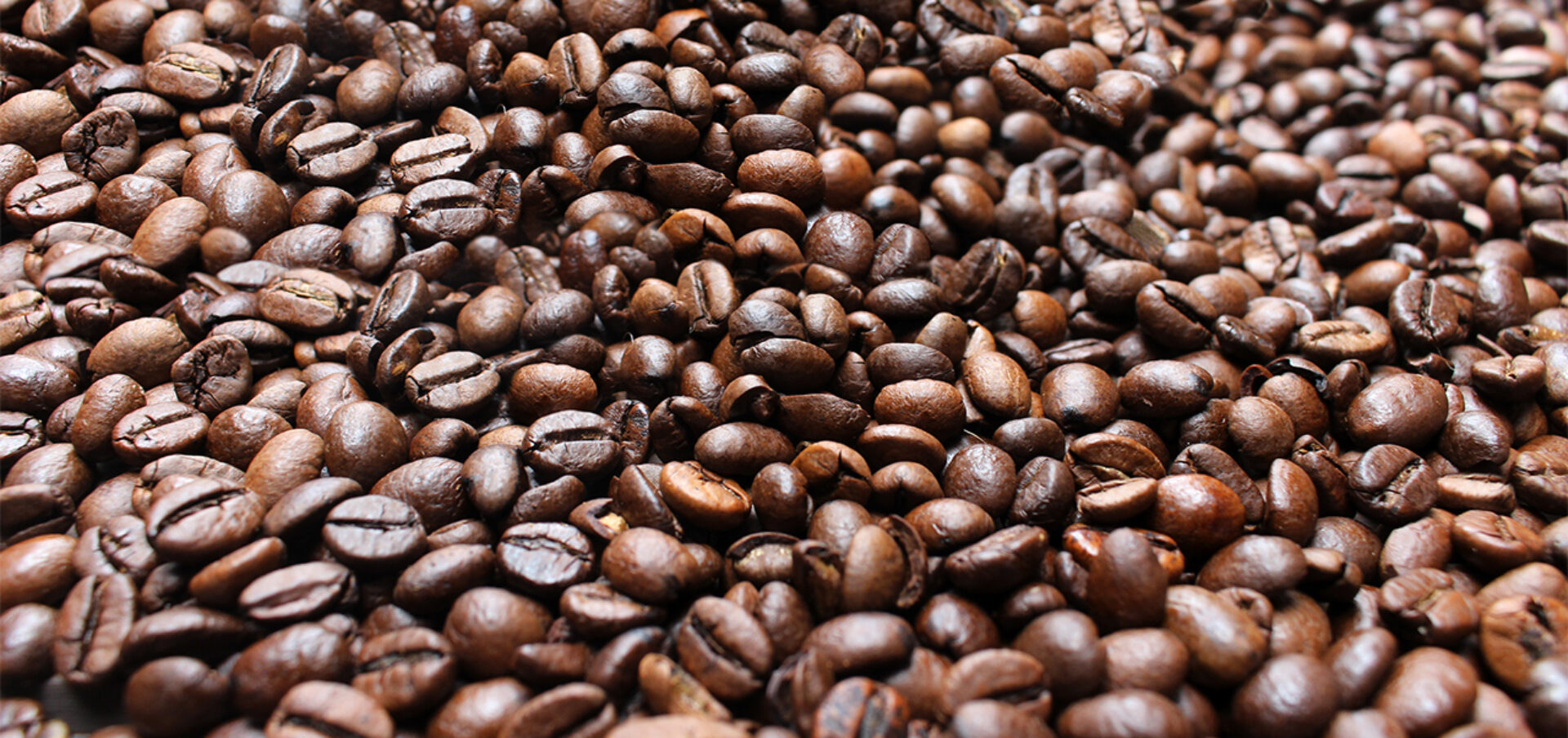 Bon Pasta – Schwarz Produktion